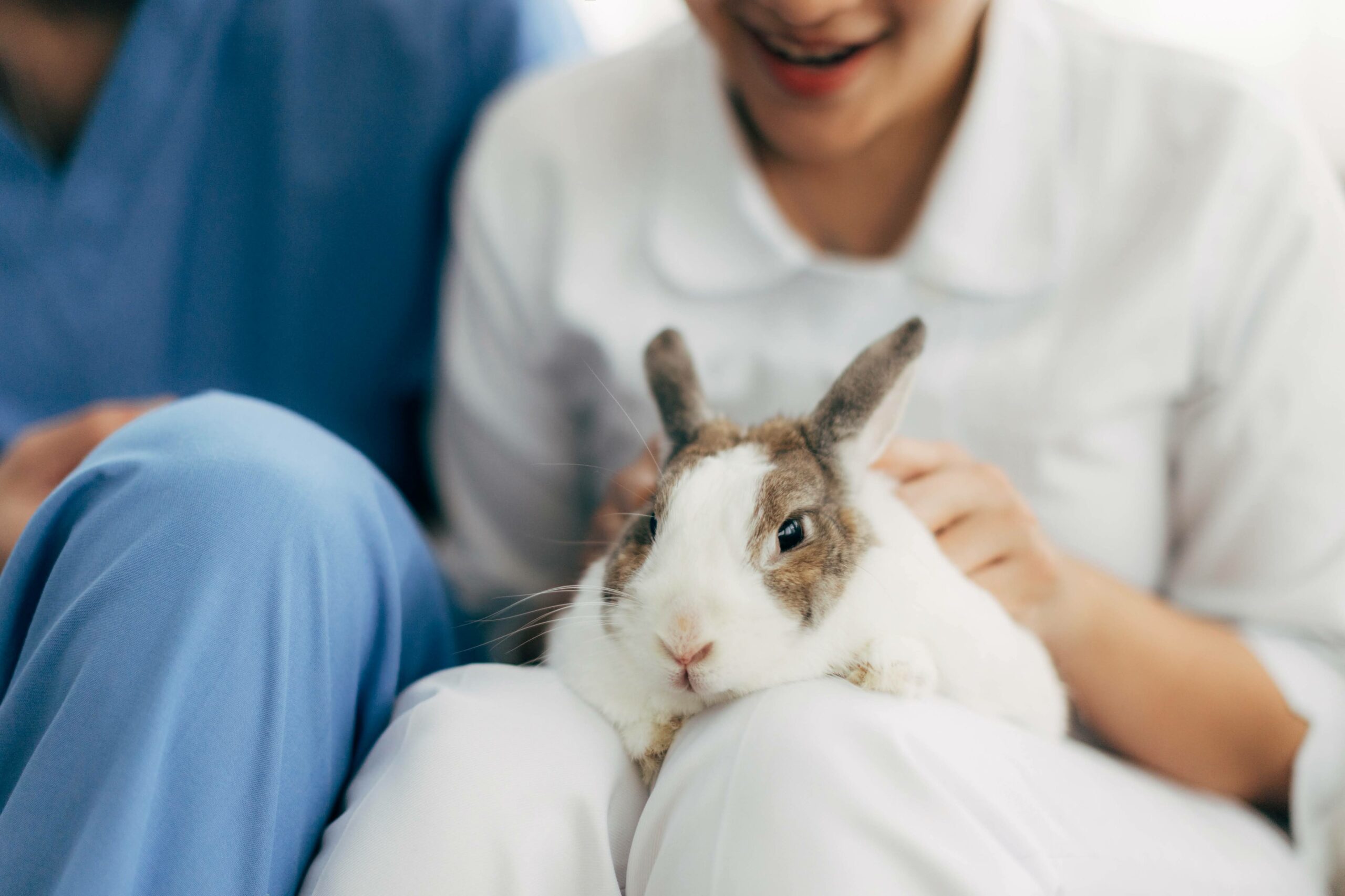 林口水牛坑婚紗攝影 / Elisa + Ray / 台北雨天婚紗 | Amazinggrace 攝影美學 / 台中婚紗婚禮攝影